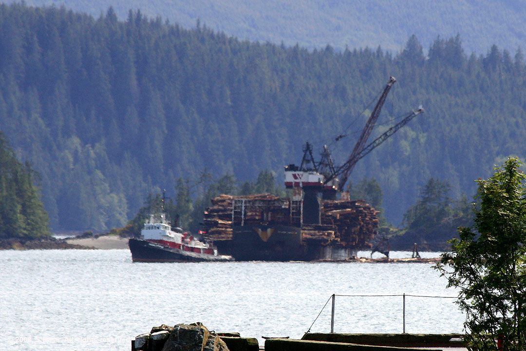 Alaska 2008: Queen Charlotte Island 1