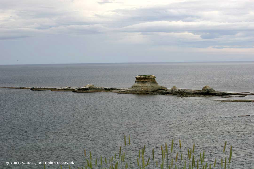 Maritimes 2007:New Harris 2