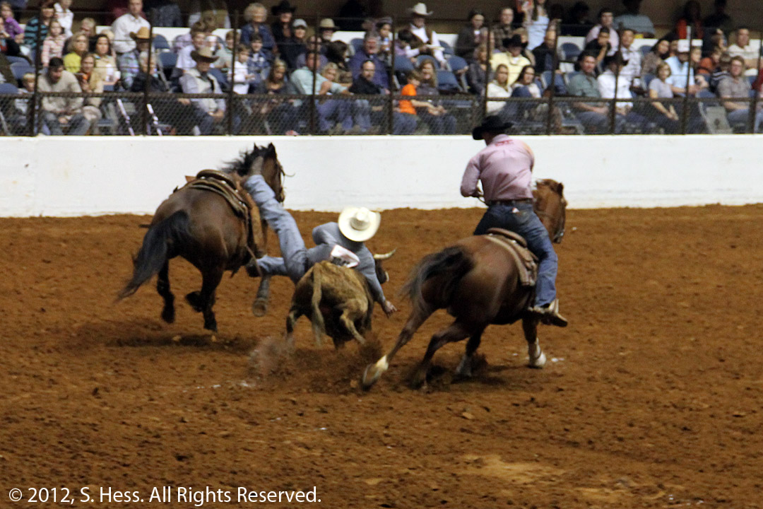 Rodeo 2012