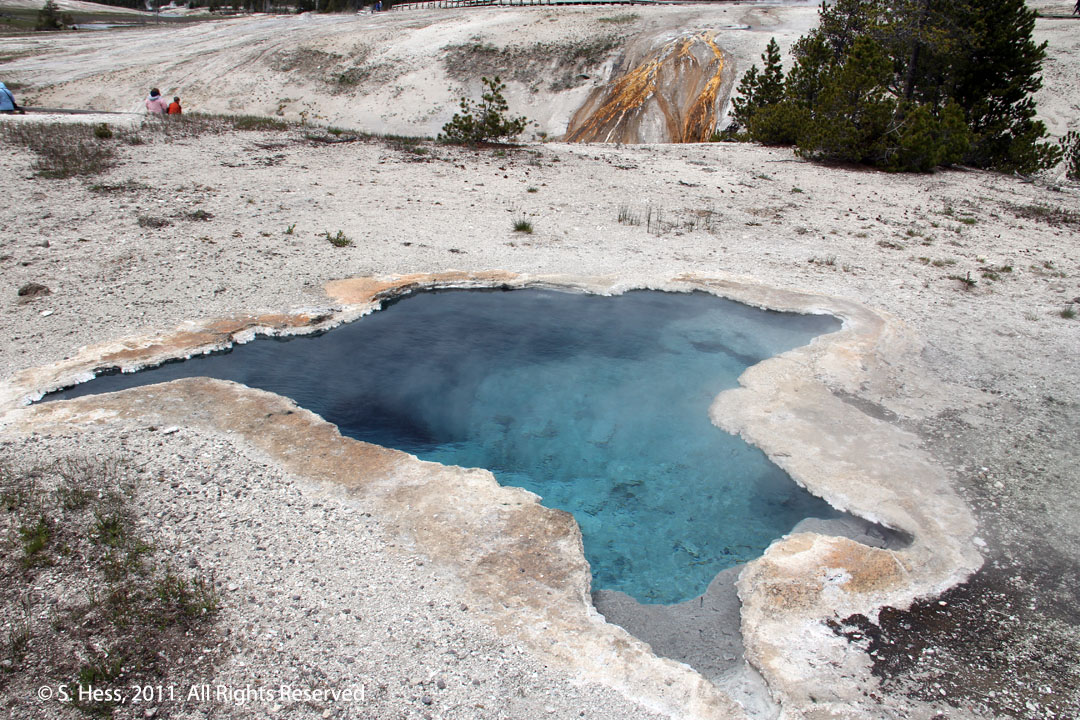 Summer 2011: W Yellowstone